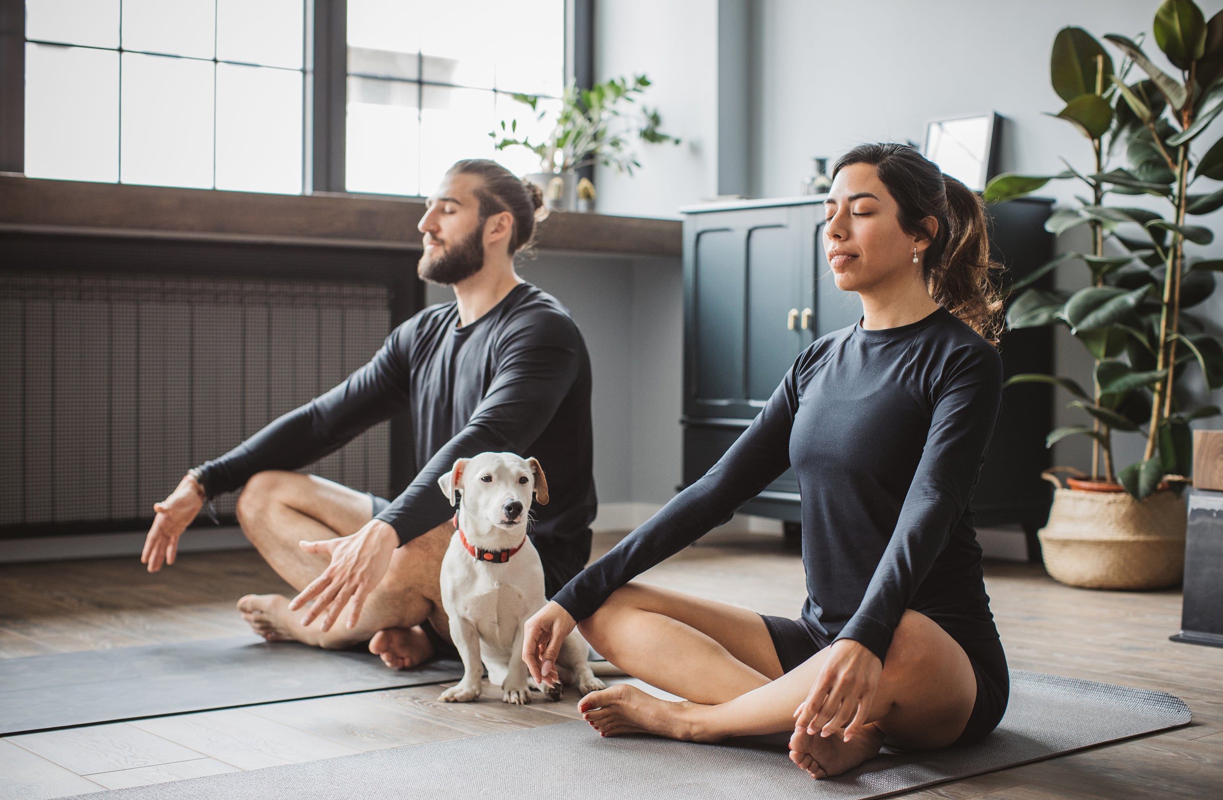 NatureBridge Healthy Pet Food. Herbal, a Story of Caring Pets& Human